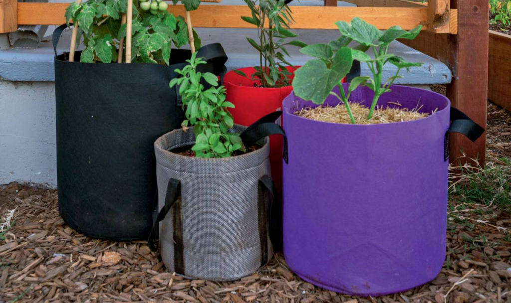 15 Fabric Raised Beds: Best Choices For Growing Fruit And Vegetables In ...