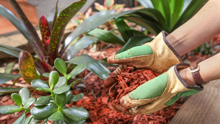 The Best Mulch For Flower Beds - Planter Raised Beds